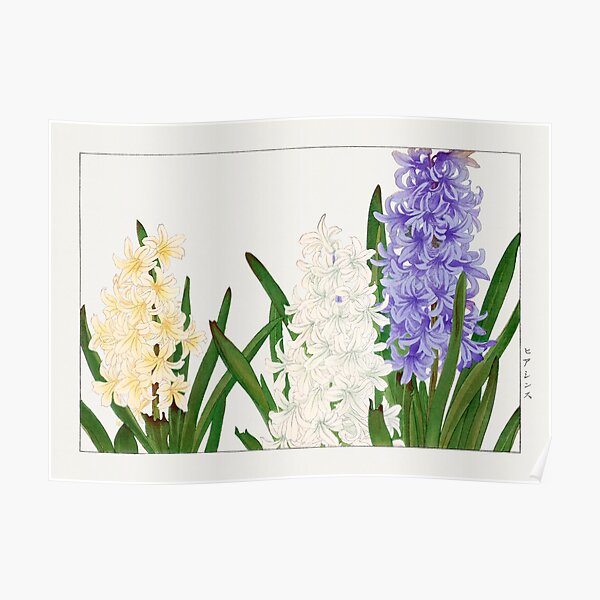 "Beautiful flower pattern and poster for your home and bedroom" Poster ...