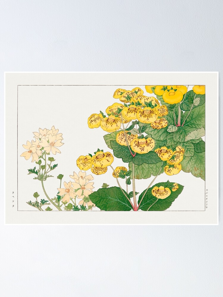 "Beautiful flower pattern and poster for your home and bedroom" Poster ...