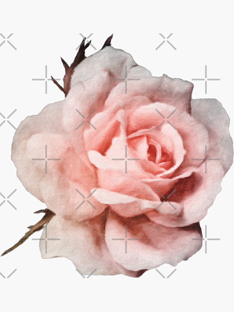 "Bloomcore Painterly 3 Vintage Rose Blossom Painting" Sticker for Sale ...