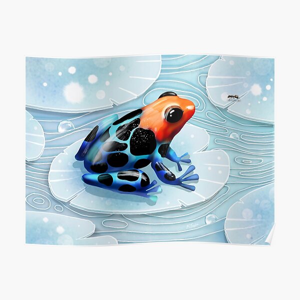 "Poison Dart Frog " Poster for Sale by karin | Redbubble