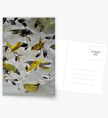 Postcards | Redbubble