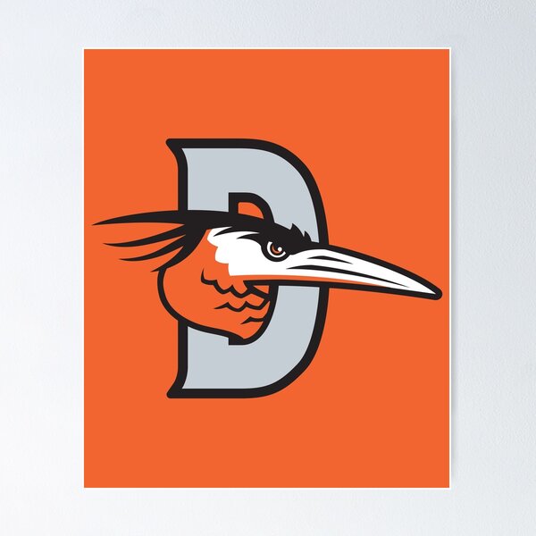 The Delmarva Shorebirds Logo Poster for Sale by pixsuperstar Redbubble
