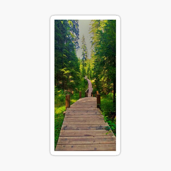 "Forest path" Sticker for Sale by Nicole-desing | Redbubble