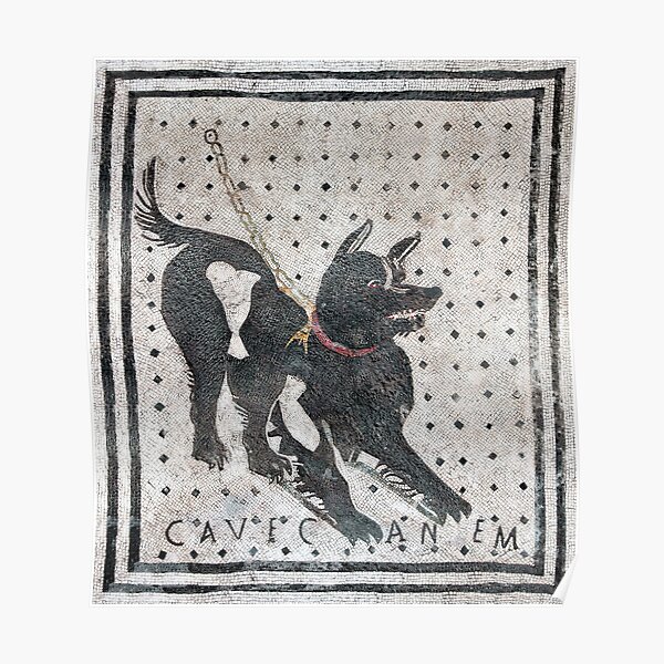 "Cave Canem mosaic 2, Beware of Dog (HQ)" Poster for Sale by TigerLab ...