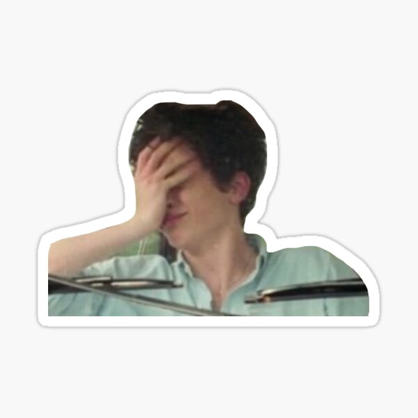 "elio. crying. " Sticker for Sale by isabellagoldie | Redbubble