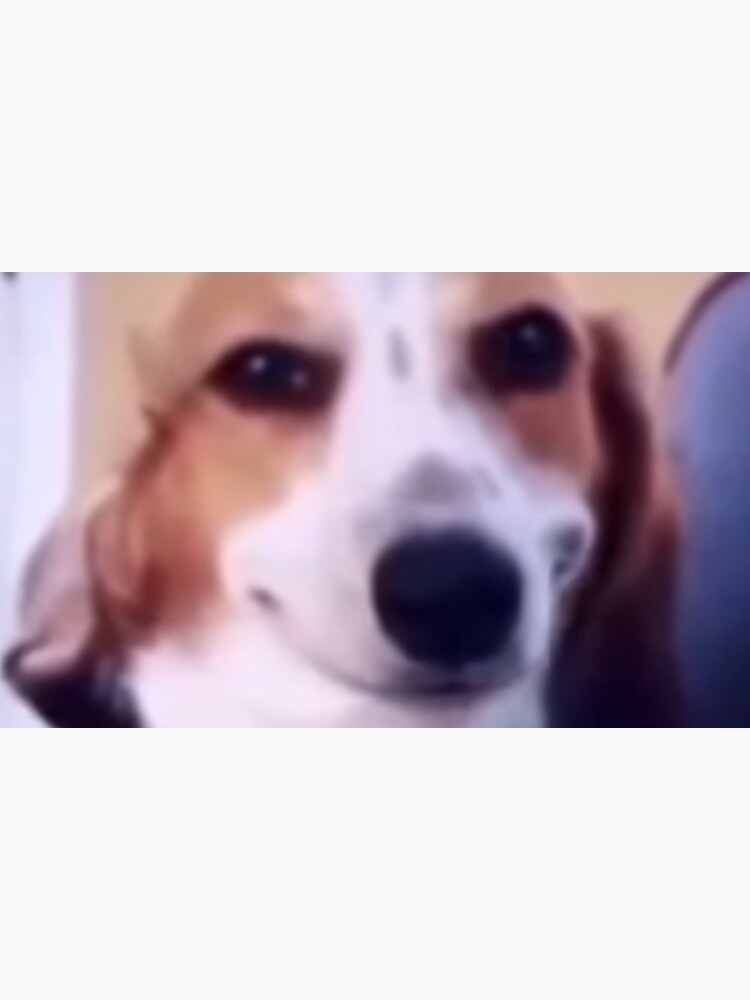 "Sus dog" Sticker for Sale by LAMO-Store | Redbubble