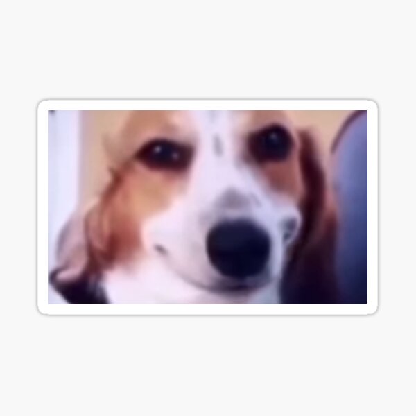 "Sus dog" Sticker for Sale by LAMO-Store | Redbubble