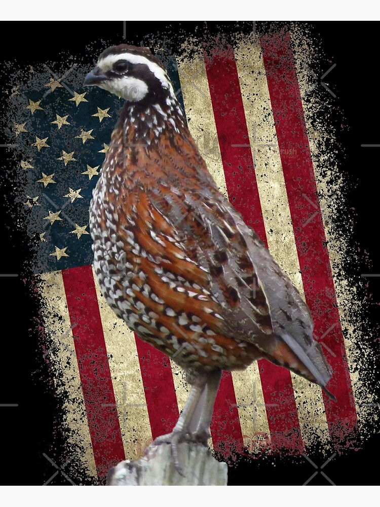 "Quail Hunting, American Flag Bobwhite Quail Design" Poster for Sale by ...