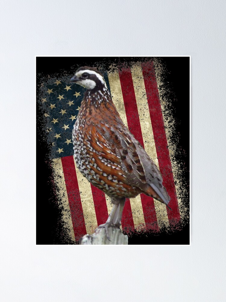 "Quail Hunting, American Flag Bobwhite Quail Design" Poster for Sale by ...