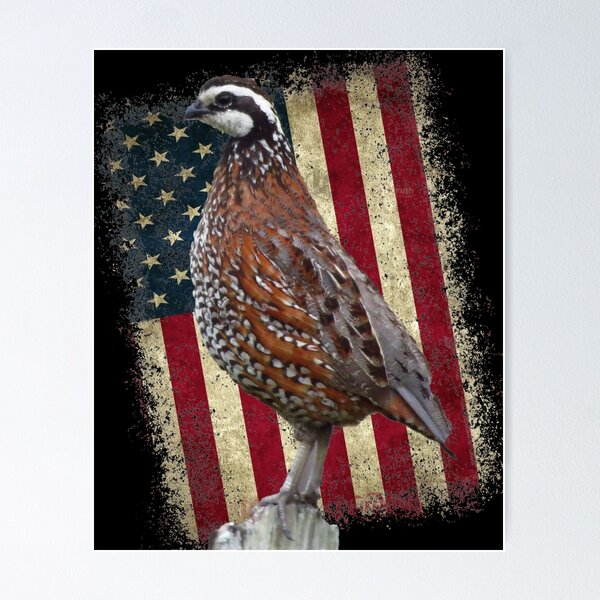 "Quail Hunting, American Flag Bobwhite Quail Design" Poster for Sale by ...