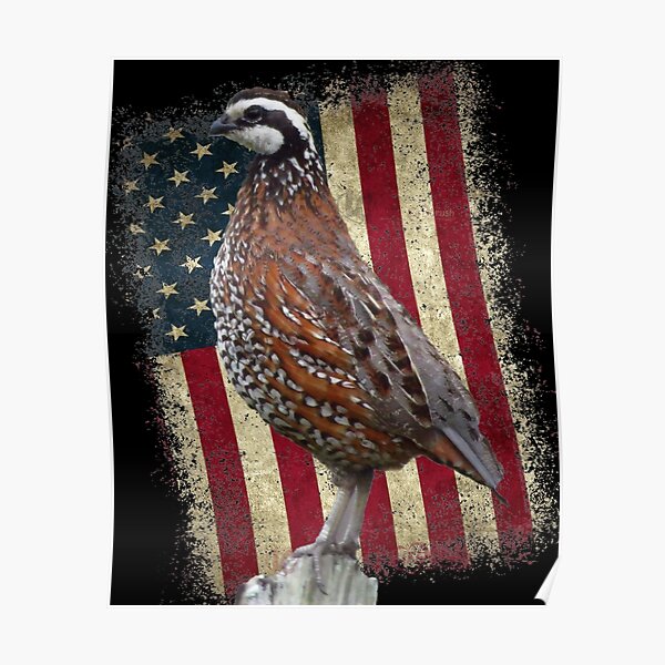"Quail Hunting, American Flag Bobwhite Quail Design" Poster for Sale by ...