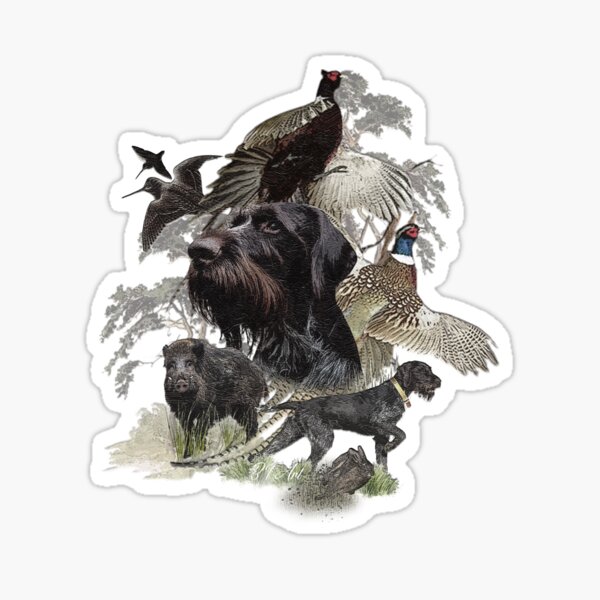 "German Wirehaired Pointer,Continental pointing dog" Sticker for Sale ...
