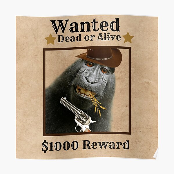 "Wanted Monkey" Poster for Sale by Wicked-Design | Redbubble