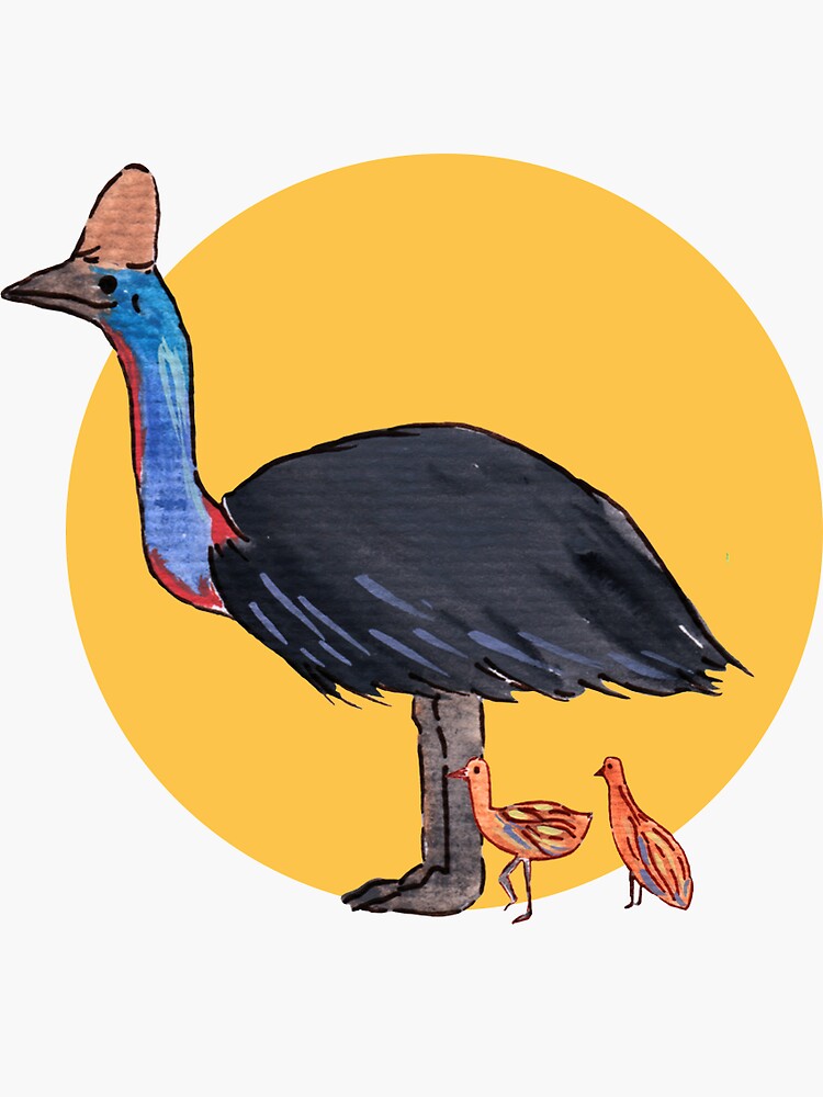"Cassowary " Sticker for Sale by Water-and-Paint | Redbubble