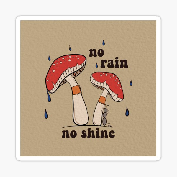 "No Rain" Sticker for Sale by lilshers | Redbubble