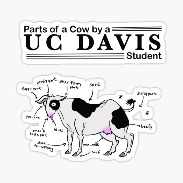 "Parts of the Cow by a UC Davis Student" Sticker for Sale by UCDDesigns ...