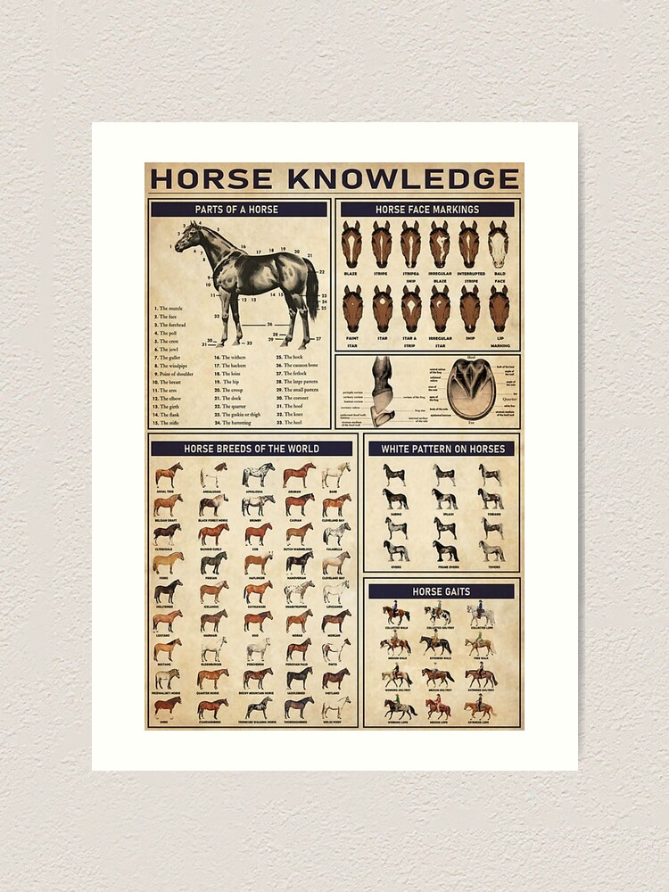 "Horse Knowledge" Art Print for Sale by elsagullo65 | Redbubble