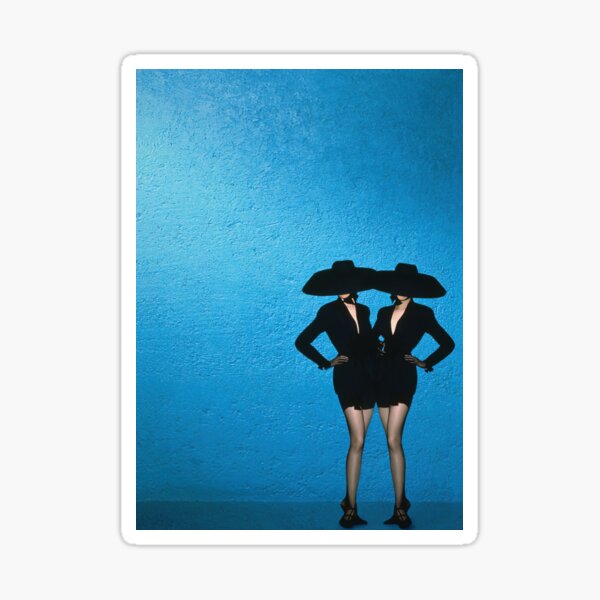 "Two Models" Sticker for Sale by ewanbell | Redbubble