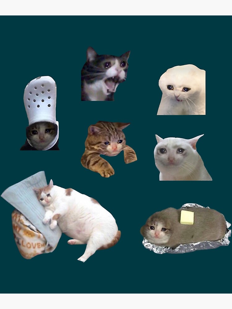 "Crying Cat Meme Pack " Art Print for Sale by MohrFidel | Redbubble