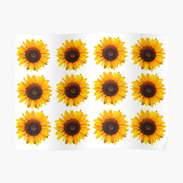 "Sunny days and Sunflowers " Poster for Sale by BerylBez | Redbubble