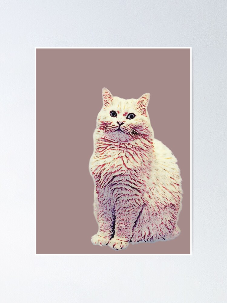 "White cat" Poster for Sale by Geneki | Redbubble