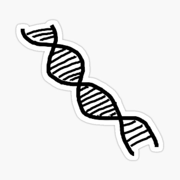 "DNA" Sticker for Sale by MedCreativity | Redbubble