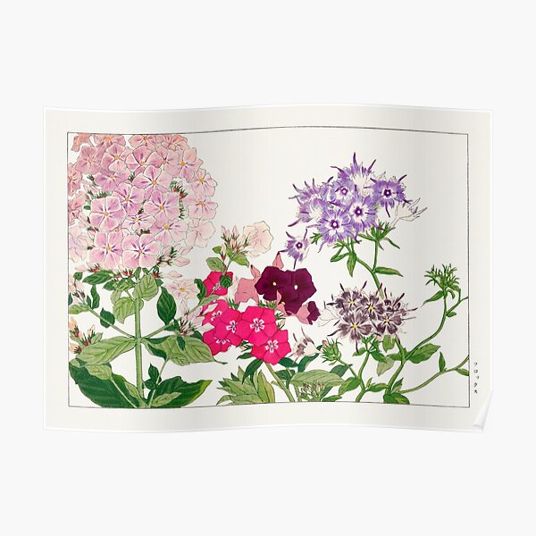 Beautiful Flower Pattern And Poster For Your Home And Bedroom Poster For Sale By Posterocean