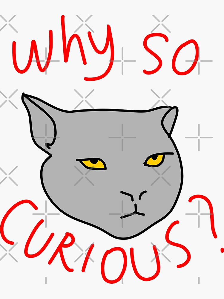 "why so curious cat" Sticker for Sale by Yeaha | Redbubble