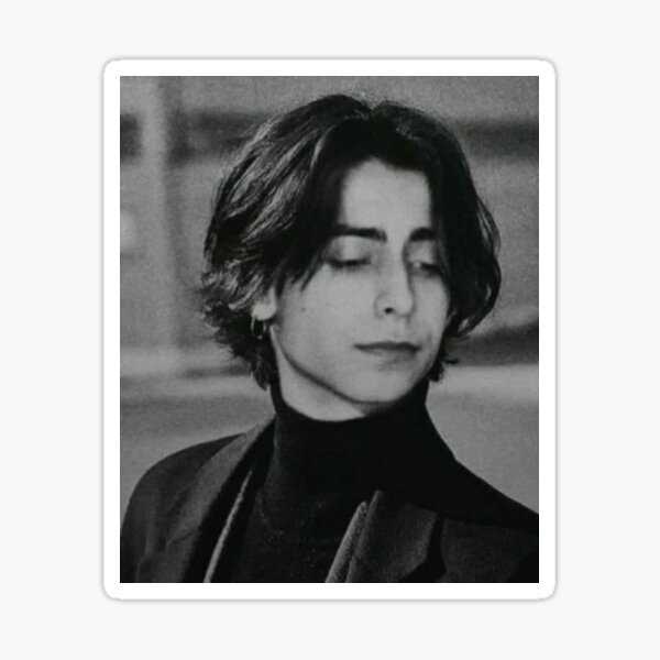 "Aidan Gallagher" Sticker for Sale by Anassish | Redbubble