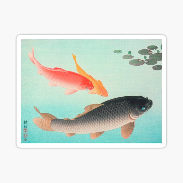 "Japanese Art Gold and Common Carp " Sticker for Sale by ...