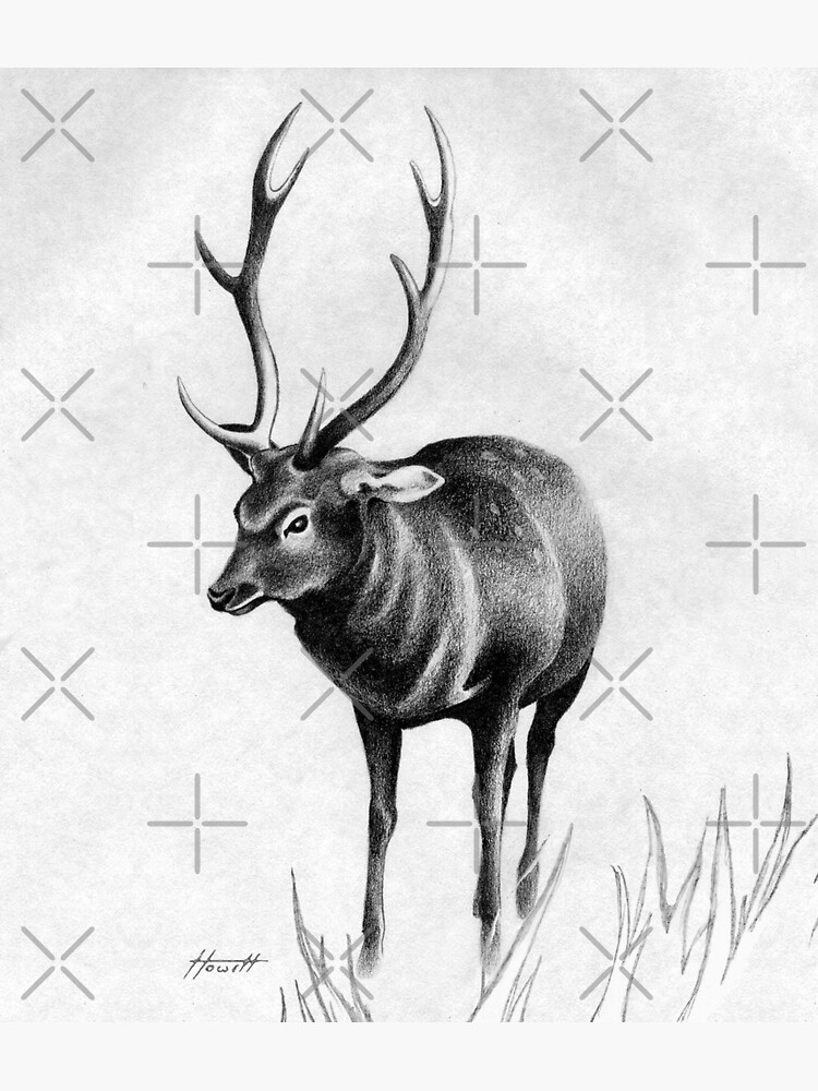 "Sika Stag 2" Poster for Sale by junglequeen | Redbubble