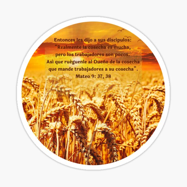 "Mateo 9: 37, 38" Sticker for Sale by CK746066 | Redbubble