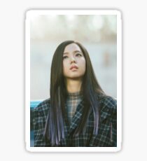 Jisoo: Stickers | Redbubble