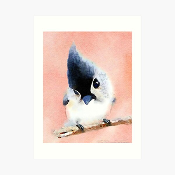 "Tufted Titmouse" Art Print by ChezLorraines | Redbubble