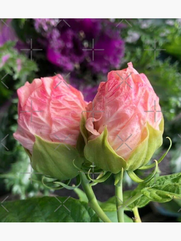 "United in Love We Rise in our Natural Unity" Sticker for Sale by ...