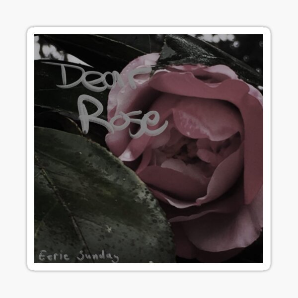 "Dear Rose Artwork" Sticker for Sale by TheHermitsGrove | Redbubble