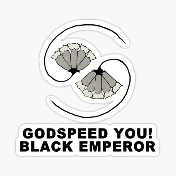 "yuhjzjlp>>>godspeed" Sticker for Sale by gaelhamilton | Redbubble