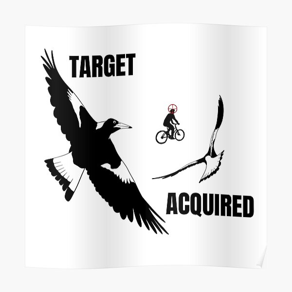 "Target acquired! Funny swooping season magpies" Poster for Sale by ...