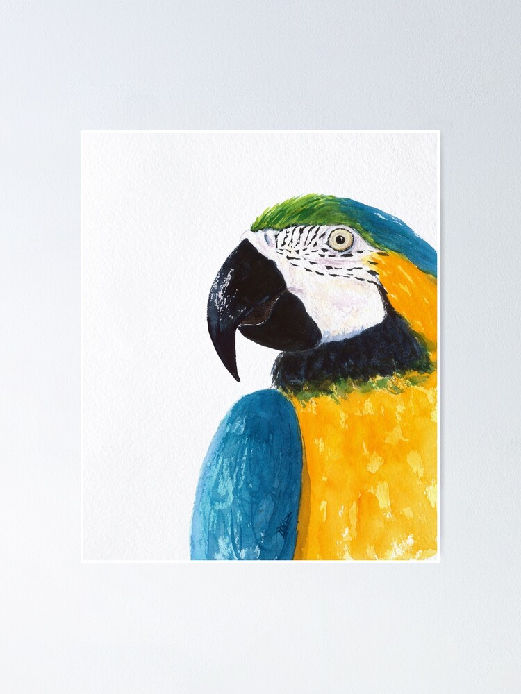 "Blue Parrot" Poster for Sale by WaterStrokesArt | Redbubble