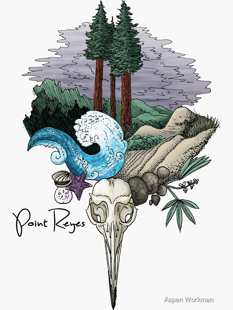 "Point Reyes National Seashore" Sticker for Sale by aspenworkman ...