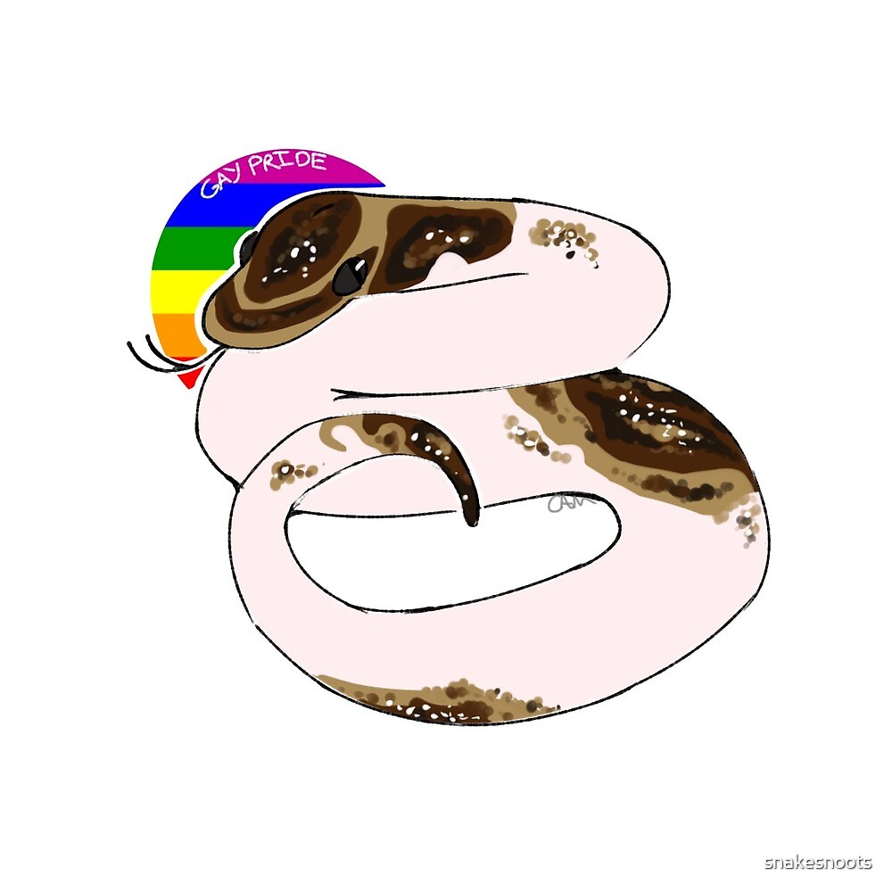 "Gay Pride (Piebald Ball Python)" by snakesnoots | Redbubble