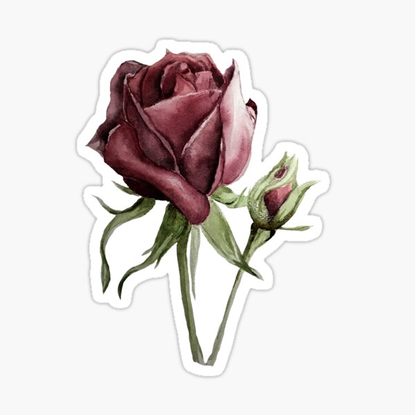 "Pink Rose with a bud" Sticker for Sale by artcolorlife | Redbubble