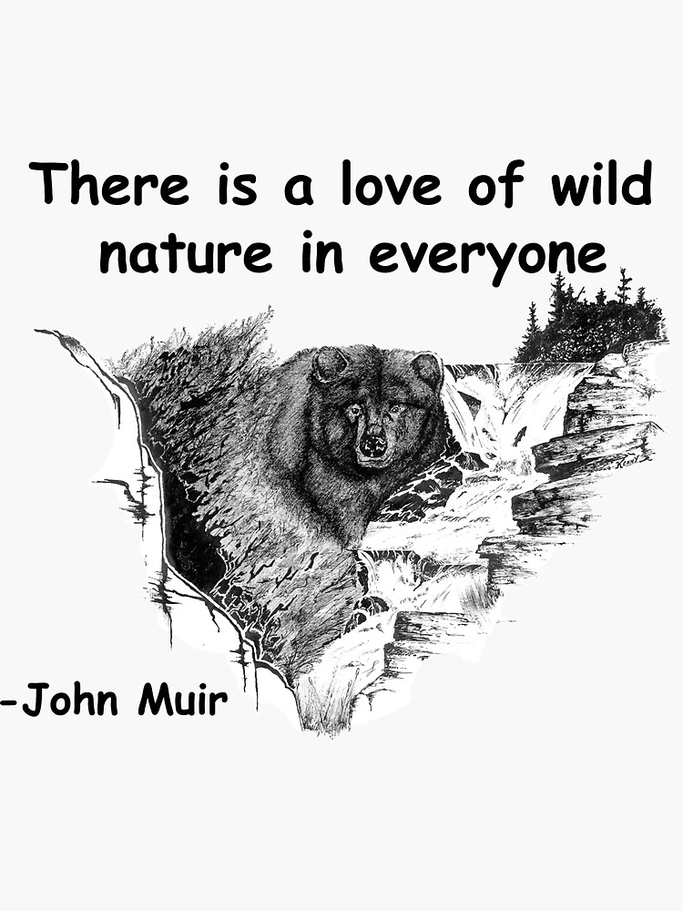"John Muir Quote Bear and waterfall" Sticker by RKOriginals | Redbubble