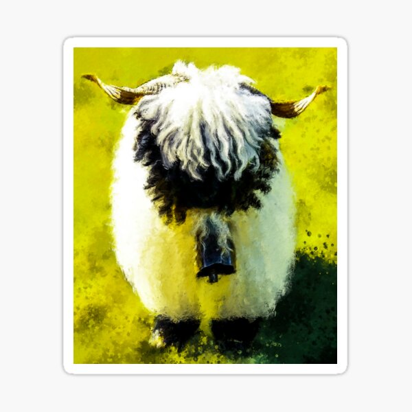 "Swiss Valais Blacknose Sheep, Cute farm animal, Walliser ...