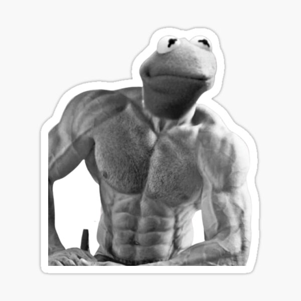"Muscle Frog chad is Getting those Gains" Sticker for Sale by ...
