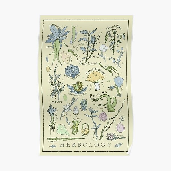 "Aesthetic Cottage Core" Poster for Sale by monikam6 | Redbubble