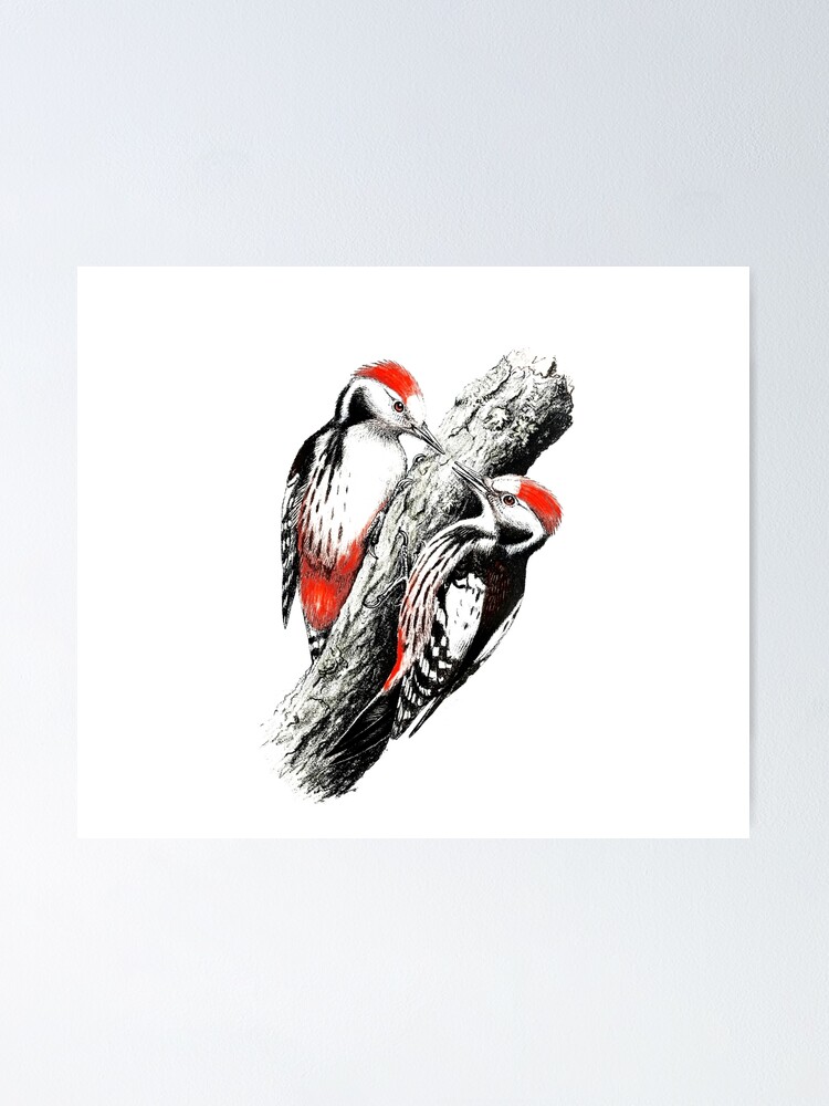 "Two birds art painting" Poster for Sale by GraphicMaterial | Redbubble