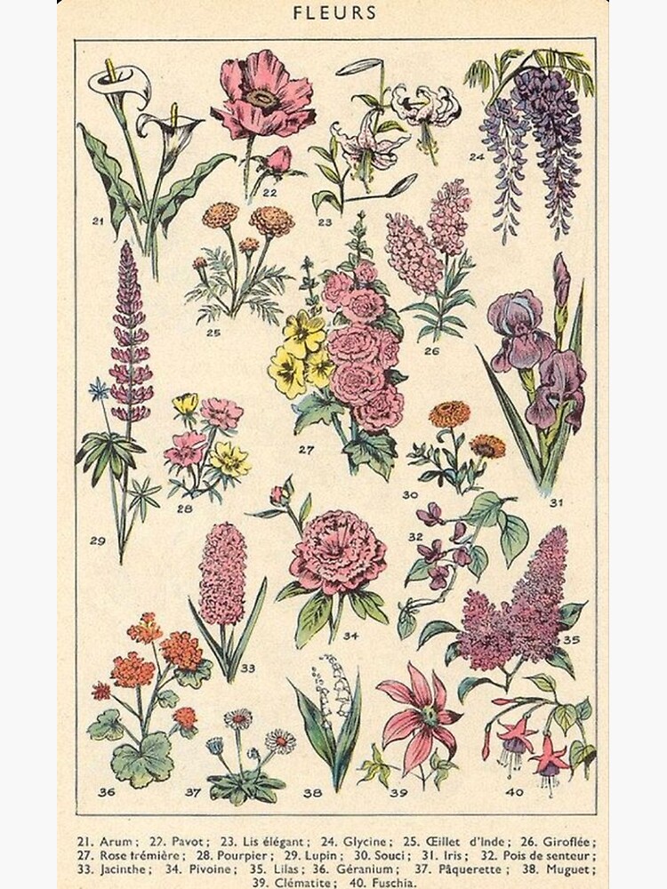 "Vintage Aesthetic Cottage Core" Poster for Sale by monikam6 | Redbubble