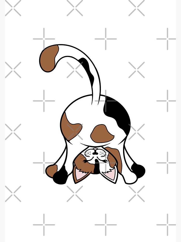 "Cute Cat Kitten Posing Hydro Water Bottle Sticker Pack" Spiral ...