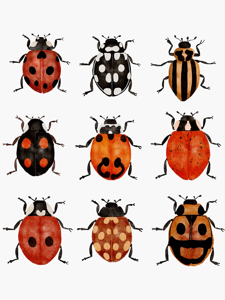 "Lady bugs, vintage insect art, nature lover design, cottage core ...